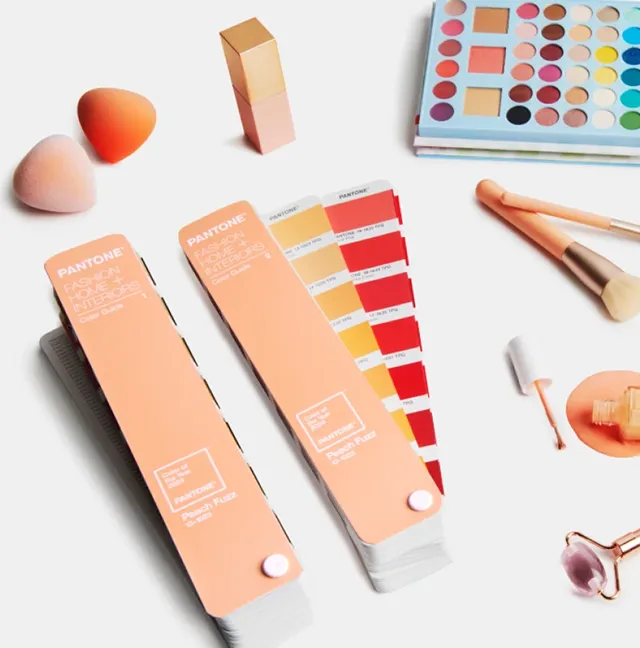 Campuran Pink dan Orange, “Peach Fuzz” Jadi Trend Warna 2024 Versi ...