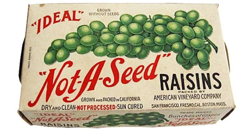 Inspirasi Packaging Kertas untuk Makanan yang Ikonik – Moripack